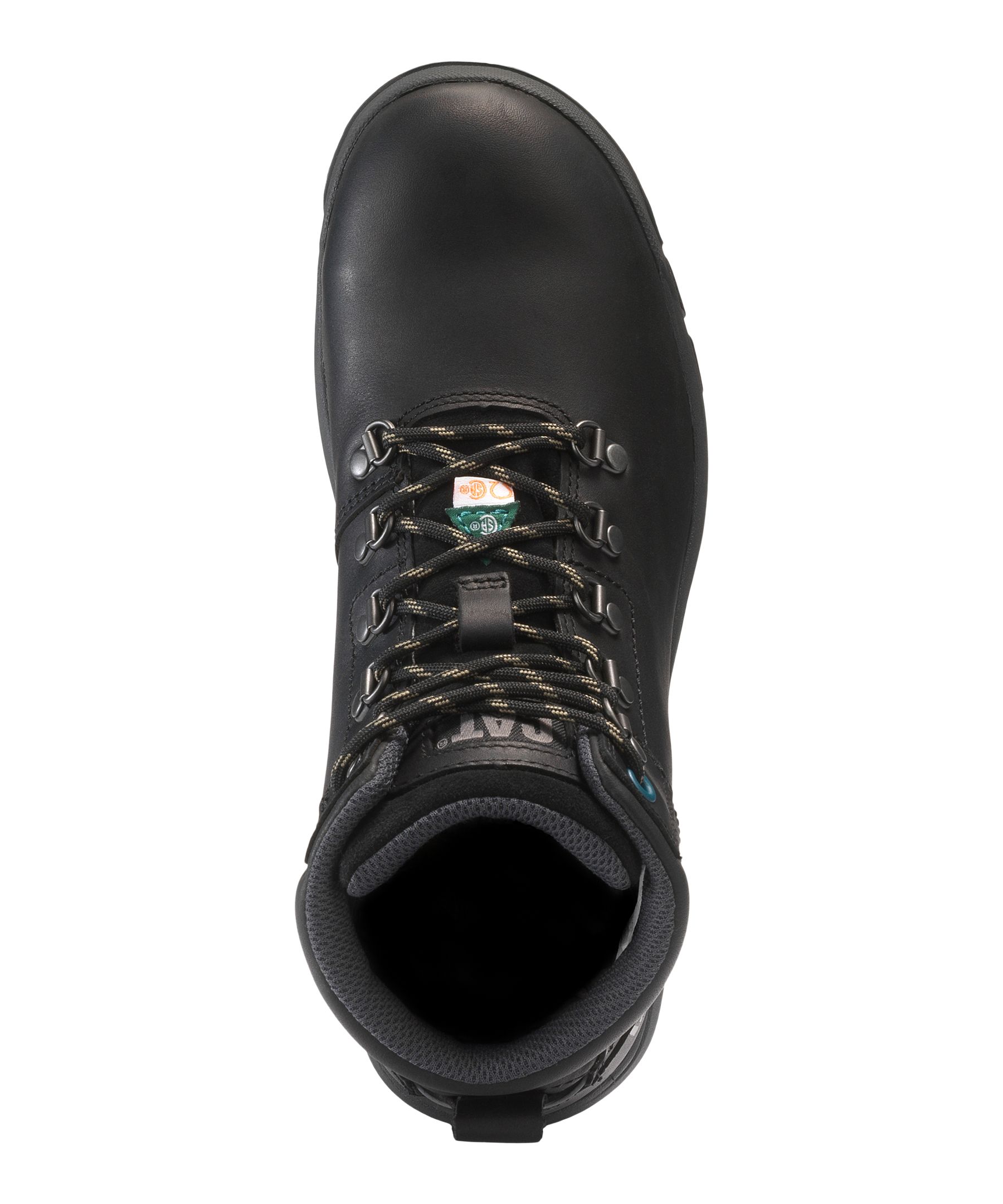 Caterpillar - CAT Women's Mae 6 Inch Steel Toe Steel Plate Waterproof ...