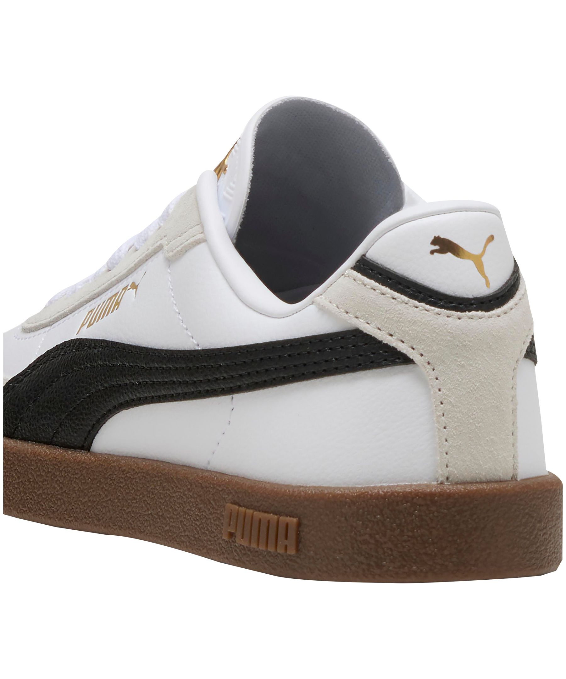 puma xivia